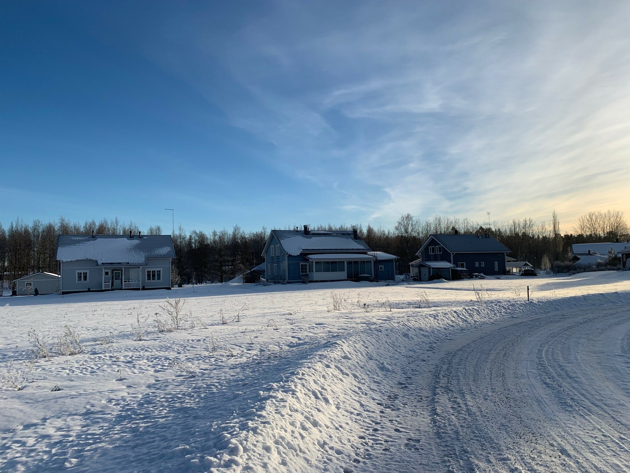 Koivisto - Akaan kaupunki